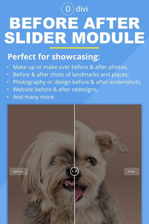 Before After Slider Module for Divi